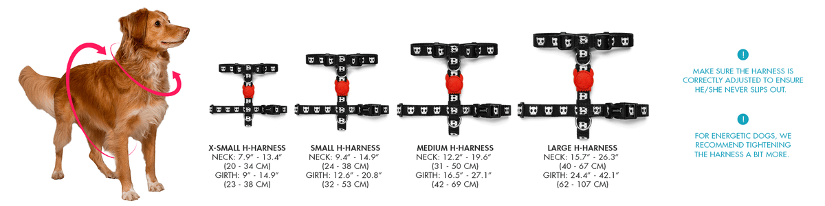Triangles H-Harness – SgPetstop